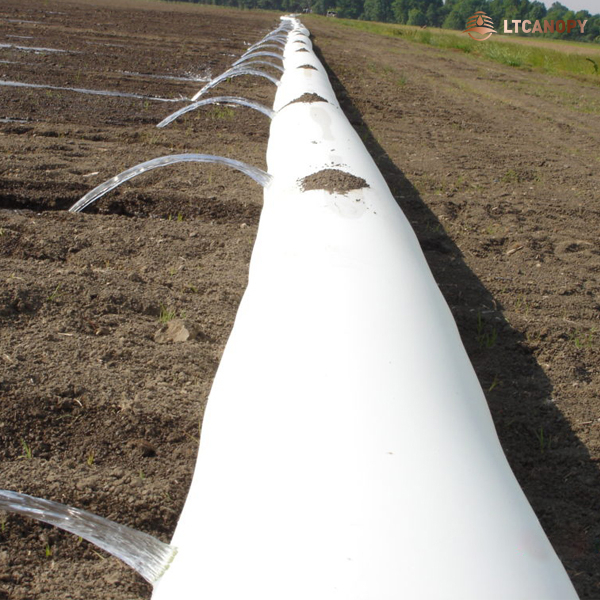 Products - Export Factory-Branch Litong Fanpeng Co, Ltd.